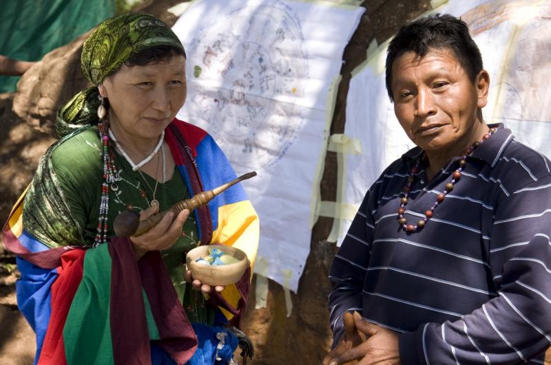 Altai region of Siberia may be the genetic source of Native Americans ...